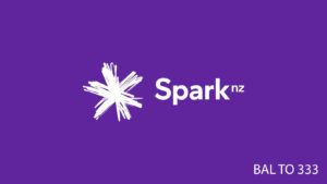 How to check balance in Spark SIM card - Hybrid Sim