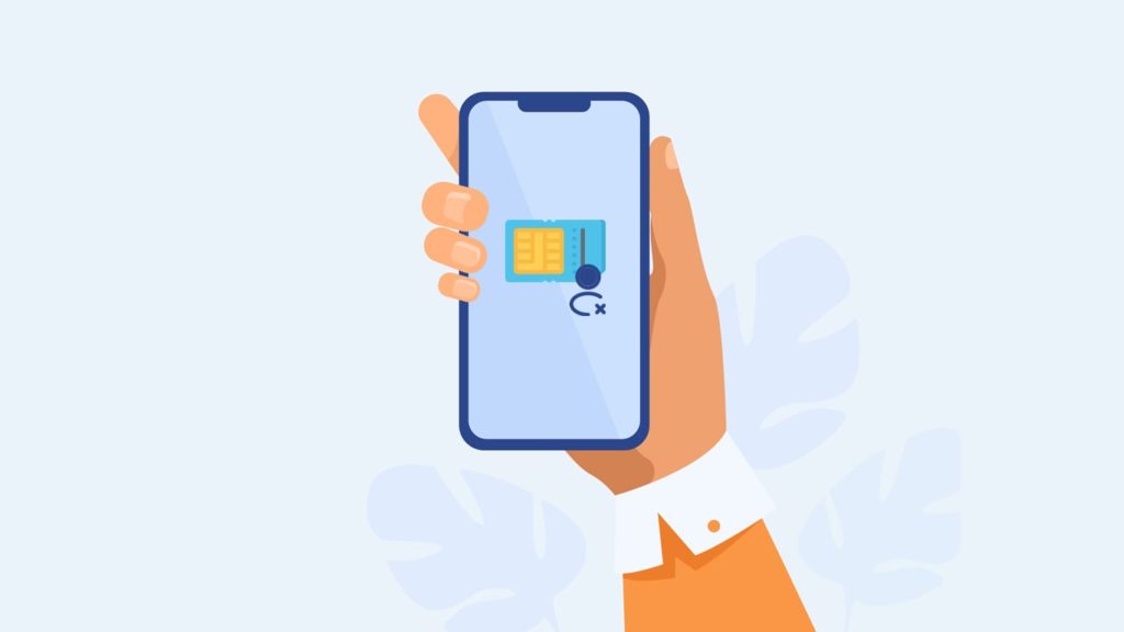 How to Delete SIM Profile from iPhone - Hybrid Sim